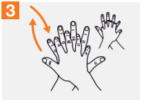 Hand Hygiene: How to Handrub?